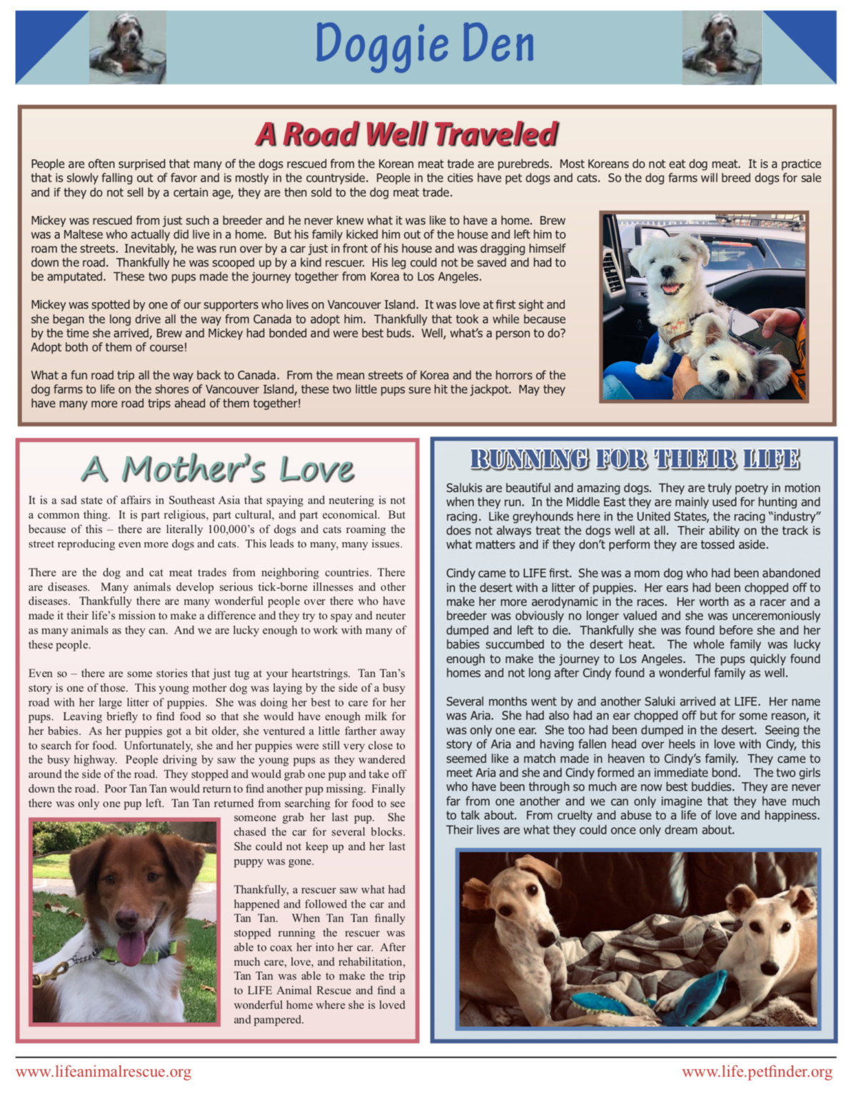 Newsletters – Life Animal Rescue